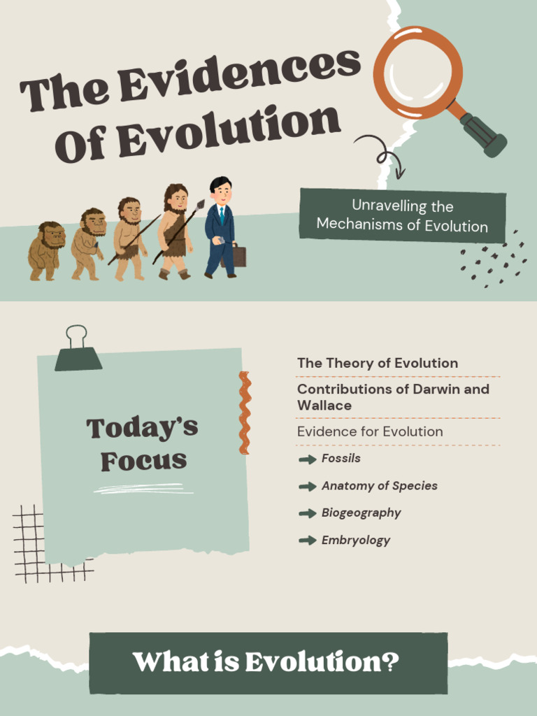 The Evidence For Evolution Education Presentation in Light Blue Style ...