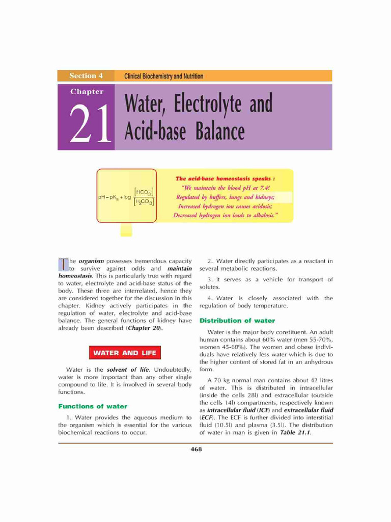 Acid Base Balance | PDF