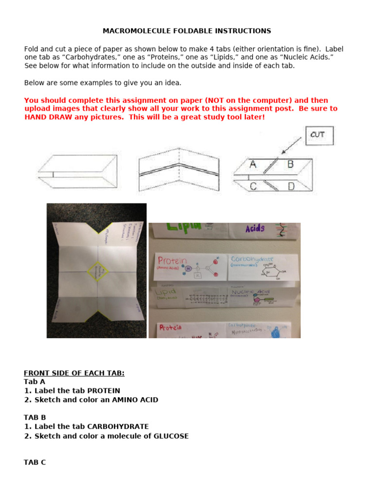 Macromolecule Foldable | PDF