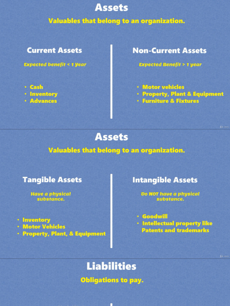 Future Classification in Assets, Liabilities, Income and Expenses | PDF
