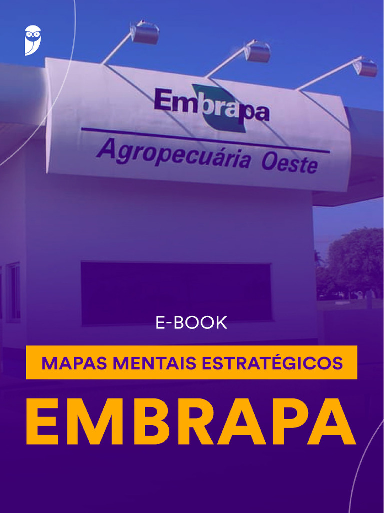 04 01 2025 Ebook Mapas Mentais Estrategicos Embrapa LP | PDF | Plural | Substantivo
