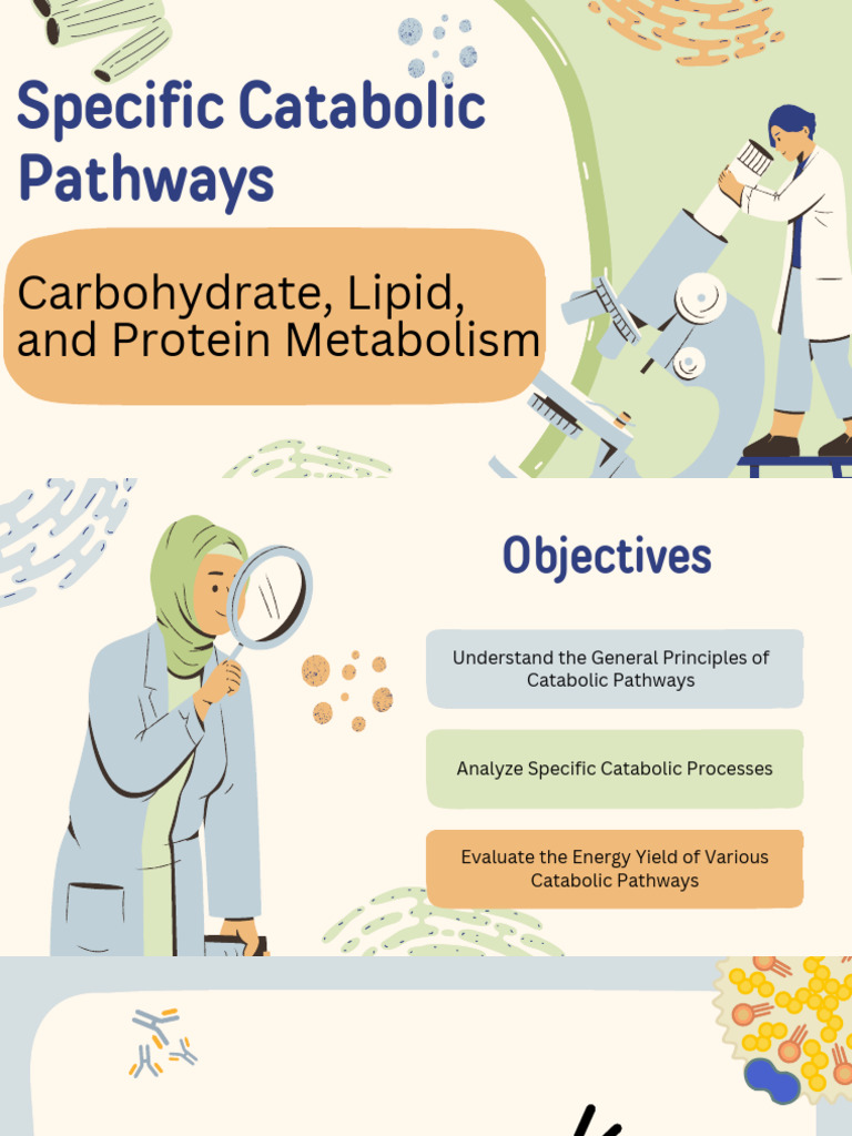 Specific Catabolic Pathways Carbohydrate, Lipid, and Protein Metabo ...