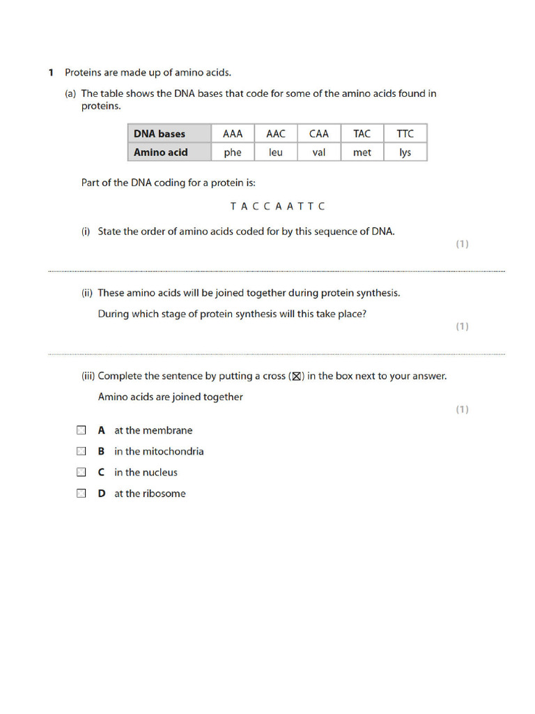 Enzyme Function and Activity Analysis | PDF | Active Site | Starch