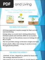 Photosynthesis and Respiration Overview | PDF | Photosynthesis ...