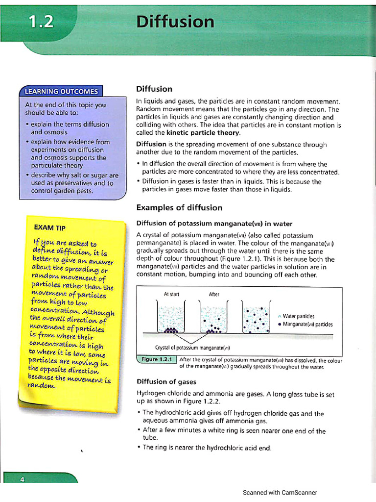 Grade 09 Diffusion & Osmosis Notes | PDF