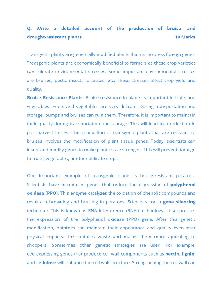 Bruise & Drought Resistance | PDF | Genetically Modified Crops | Genetically Modified Organism