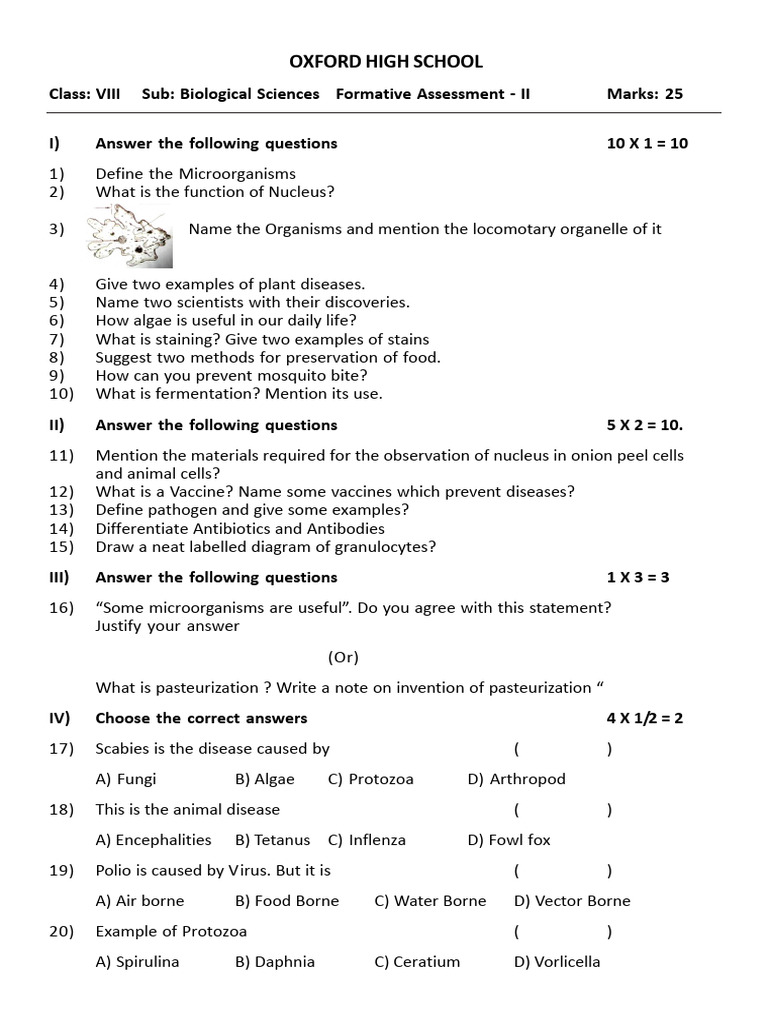 8th Biology | PDF