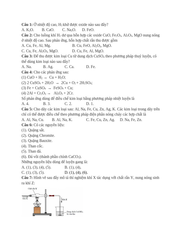 CHTN Và BT Ôn Thi GK Hki 2425 | PDF