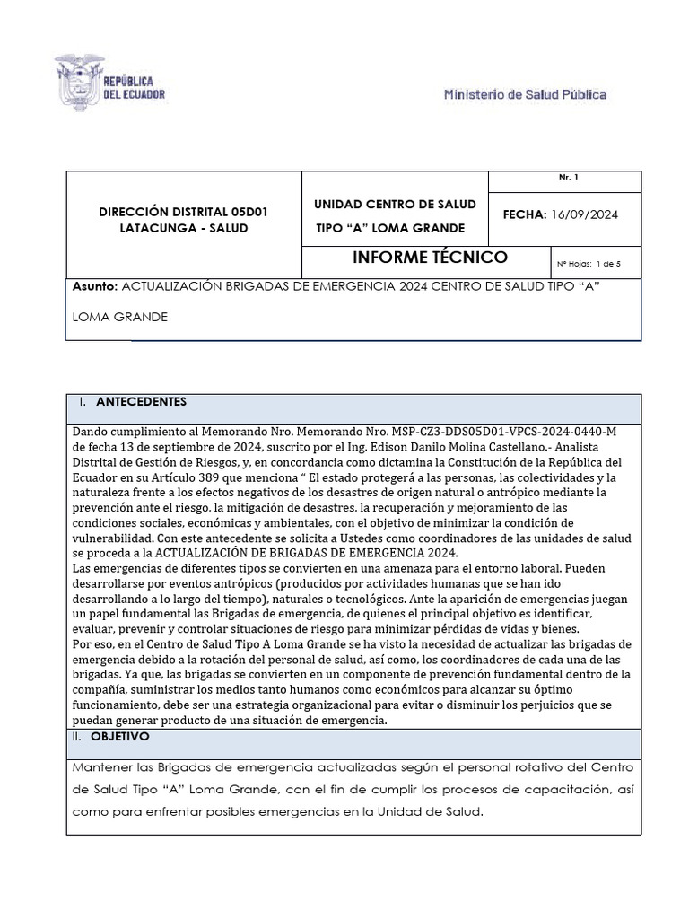 Formato Informe Tecnico 2023 2024 | PDF