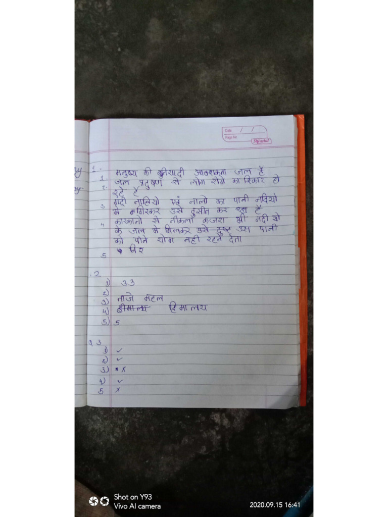 Hindi Test | PDF