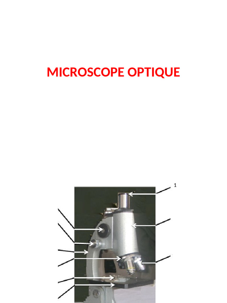 Composants du microscope optique | PDF | Microscope | Œil humain