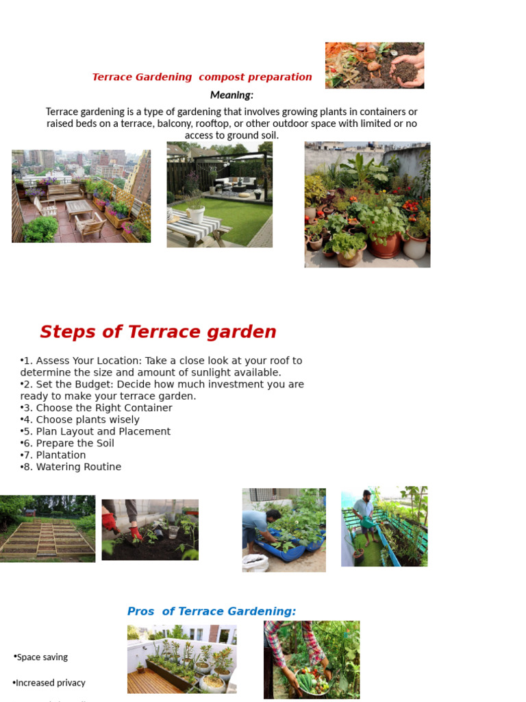 Terrace Farming Class 4 B After Editing | PDF