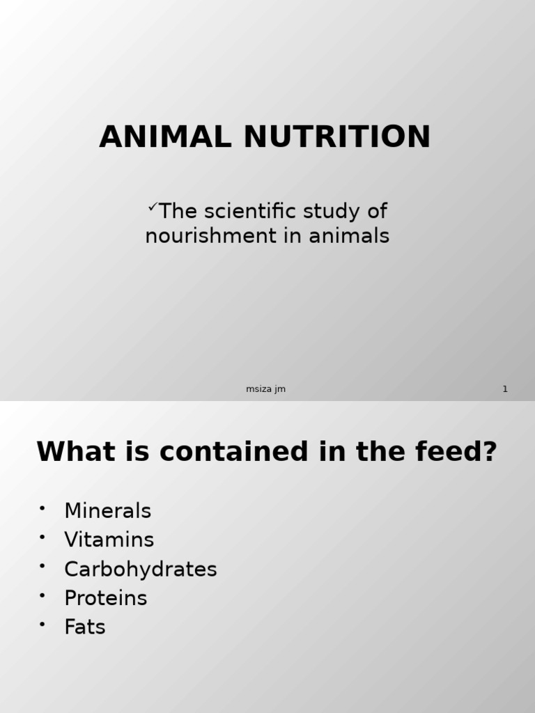 Animal Nutrition and Digestive Systems | PDF | Digestion | Stomach