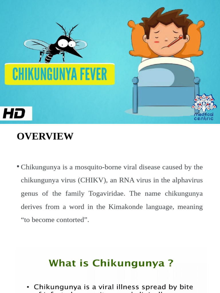 Chikungunya (Chik) Fever | PDF | Medicine | Health Sciences