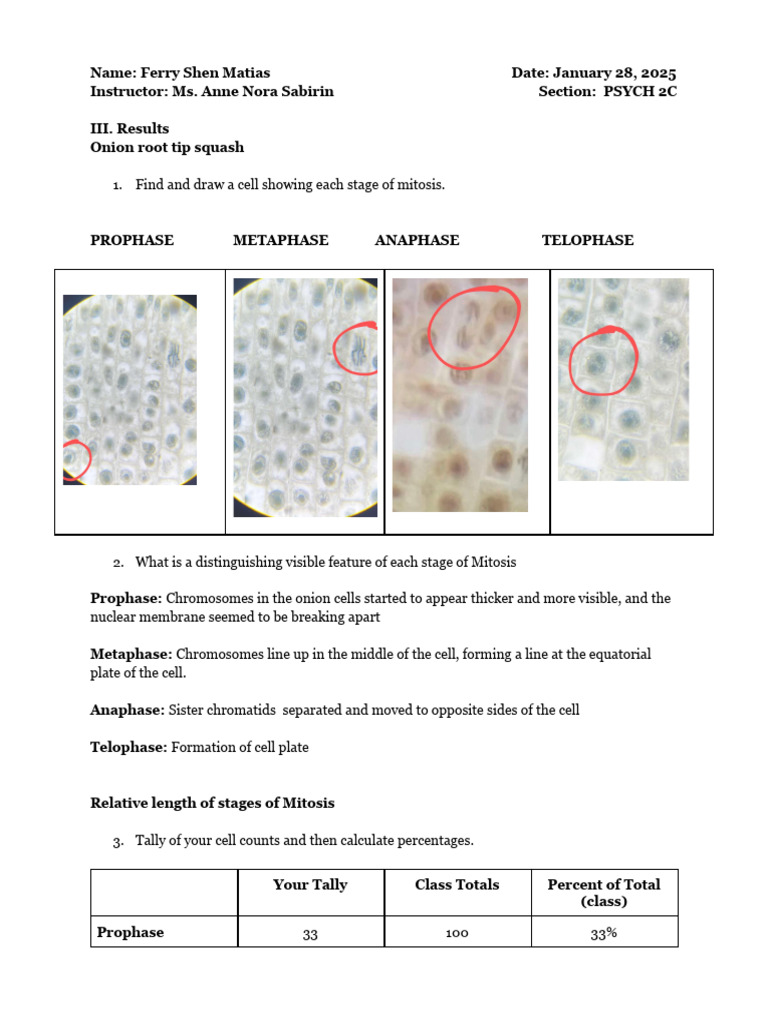 Matias Genetics Lab Activity 1 | PDF | Mitosis | Biological Processes