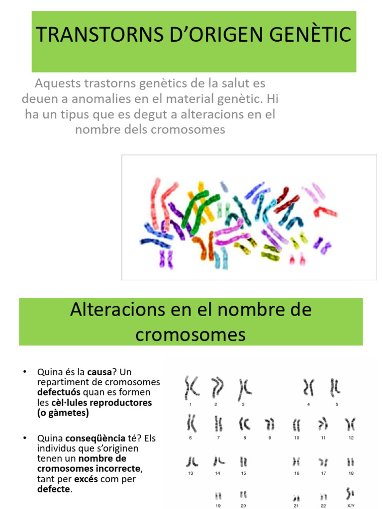 Transtorns Dorigen Genètic-1 | PDF