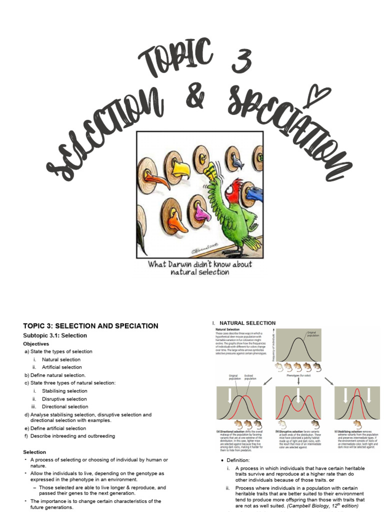 Topic 3 Selection and Speciation | PDF | Natural Selection | Hybrid (Biology)