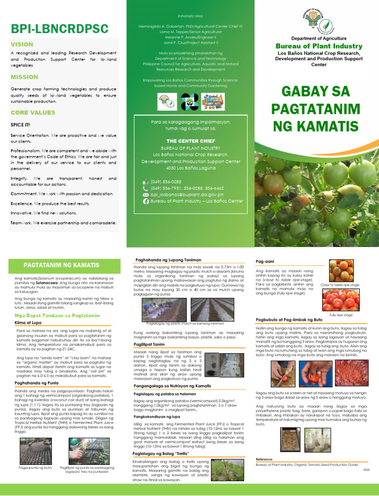 1652250896gabay Sa Pagtatanim NG Kamatis | PDF