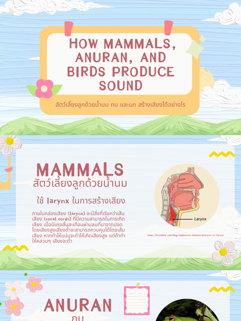How Animals Produce Sound | PDF