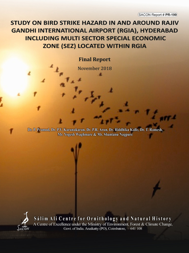 RGIA Bird-Hazard Abstract | PDF | Birds | Airport