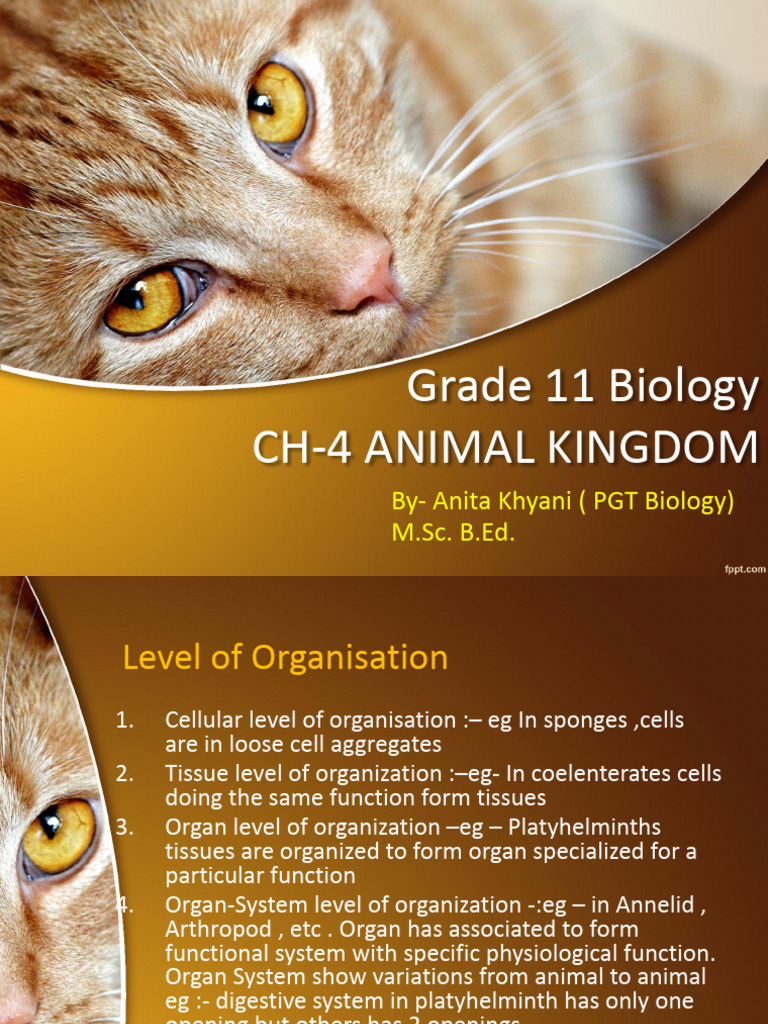 Grade 11 Biology Ch-4 Animal Kingdom | PDF | Sponge | Zoology