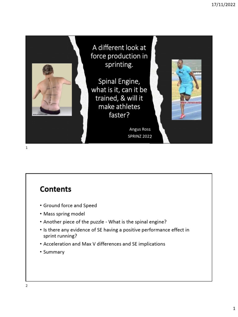 Spinal-Engine-Angus-Ross | PDF | Running | Force