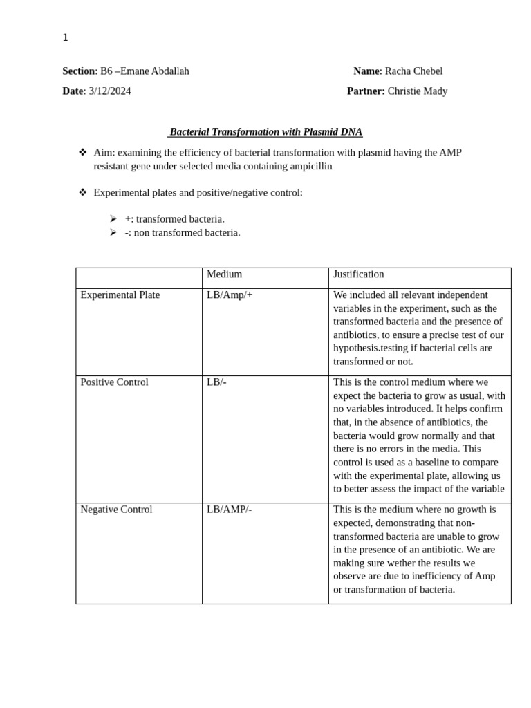Bacterial Transformation With Plasmid DNA | PDF | Plasmid | Bacteria