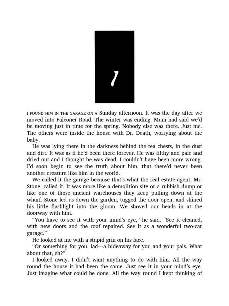 Skellig by David Almond | PDF