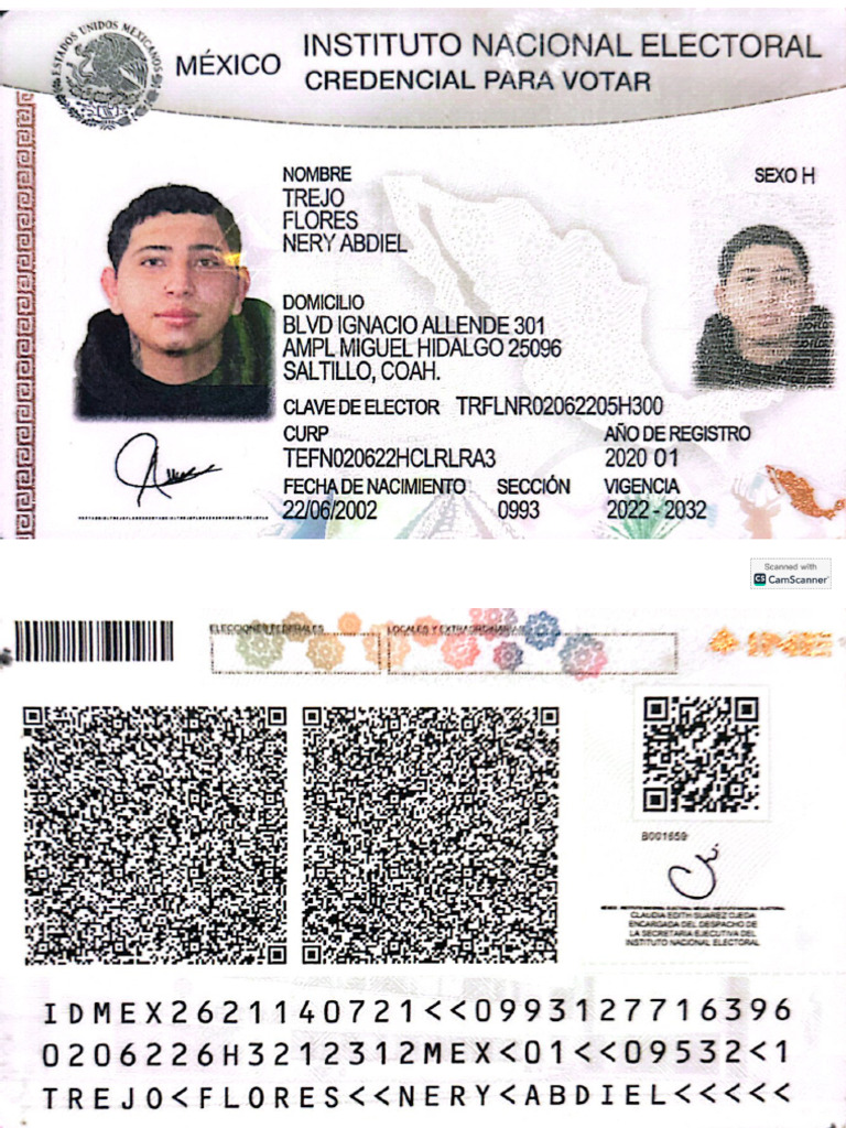 Documentos Nery | PDF