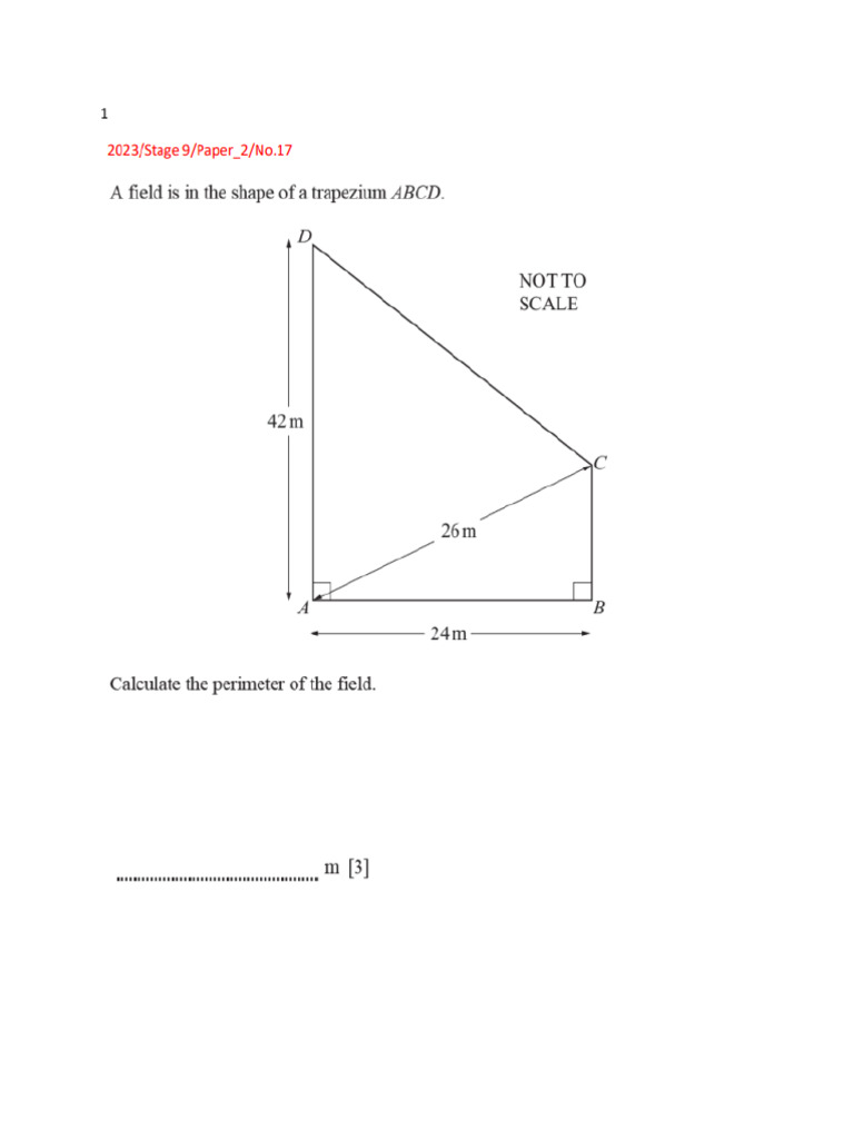 Practice Questions on Pythagoras' theorem | PDF