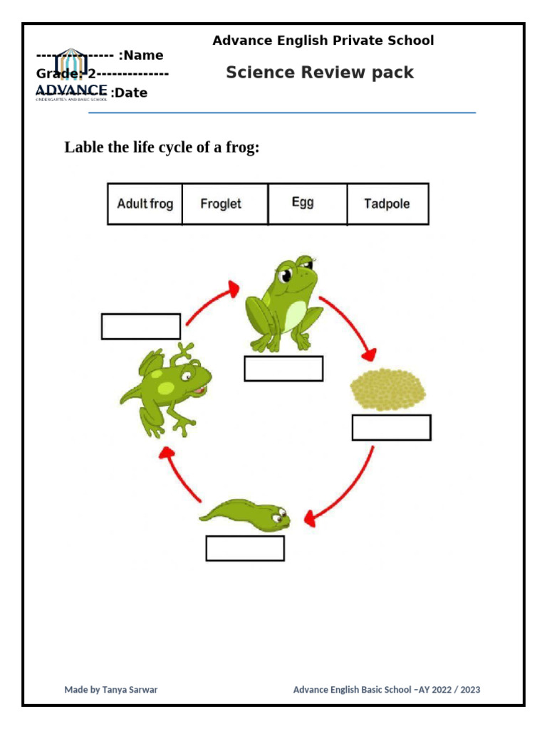 Science Review Pack Changes | PDF