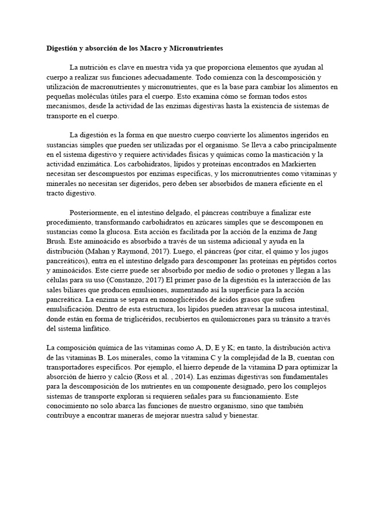 Digestión y Absorción de Nutrientes | PDF | Digestión | Bioquímica