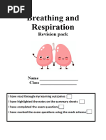 Respiratory System Worksheet | PDF | Lung | Breathing