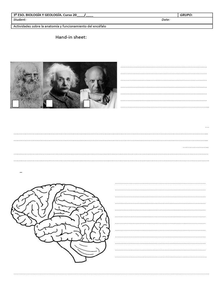 BG - 3Âº - ESO - HAND-IN - SHEETS - Human Brain Facts. Ficha Entregable ...