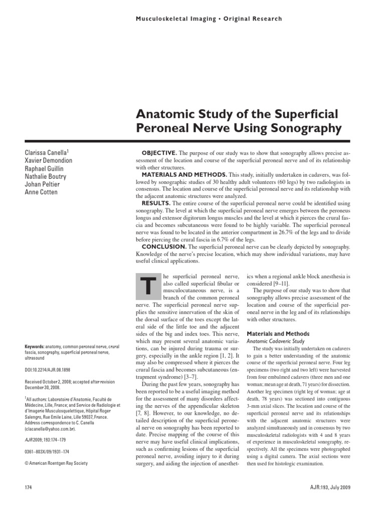superficial peroneal nerve | PDF | Anatomical Terms Of Location | Human Leg