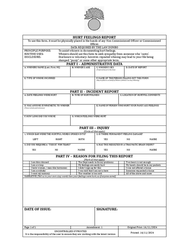 Hurt Feelings Report Template | PDF
