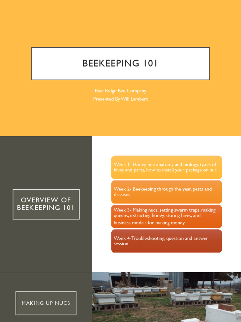 Beekeeping 101 Week 3 PowerPoint Notes | PDF | Beehive | Beekeeping