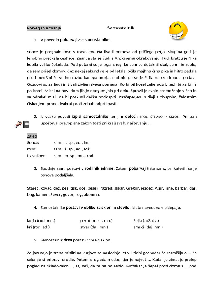 Samostalnik Preverjanje | PDF