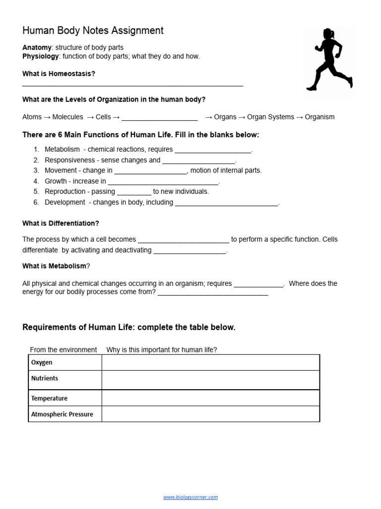 Human Body Notes Assignment (1) | PDF | Human Body | Organ (Anatomy)