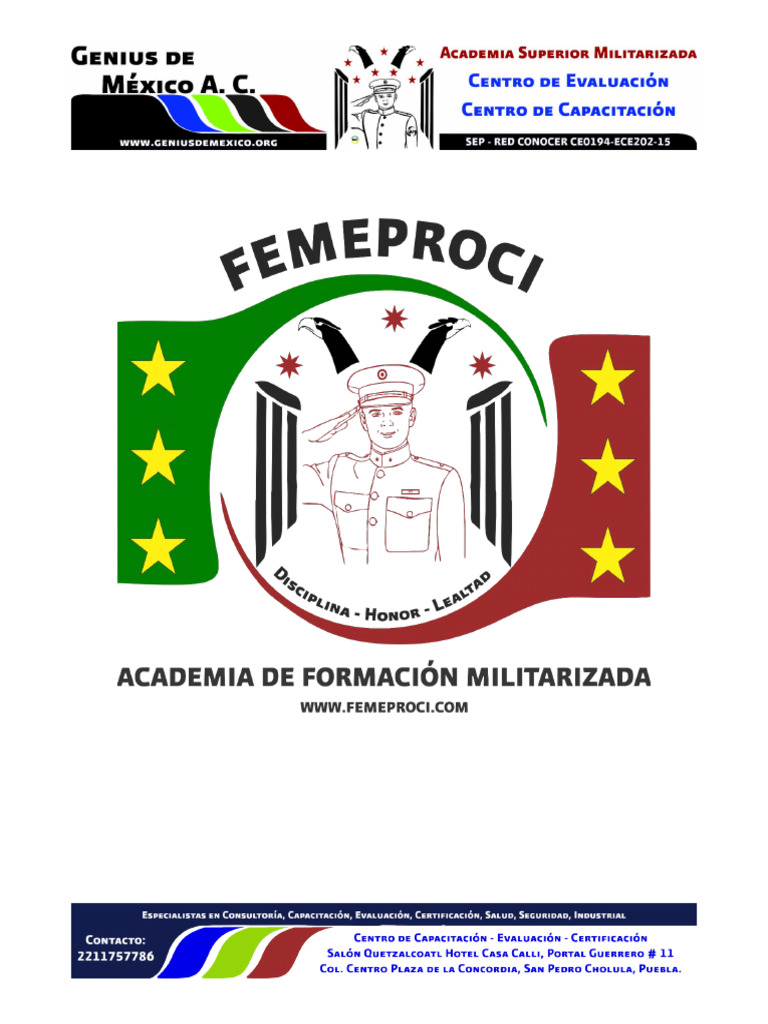 Manual de Uniformes y Divisas 2020 | PDF | Teniente | Capitán (Fuerzas ...