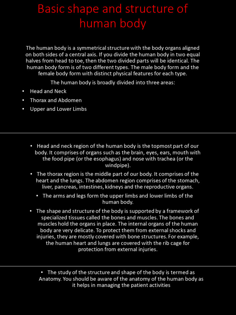 Basic Shape and Structure of | PDF | Human Body | Thorax