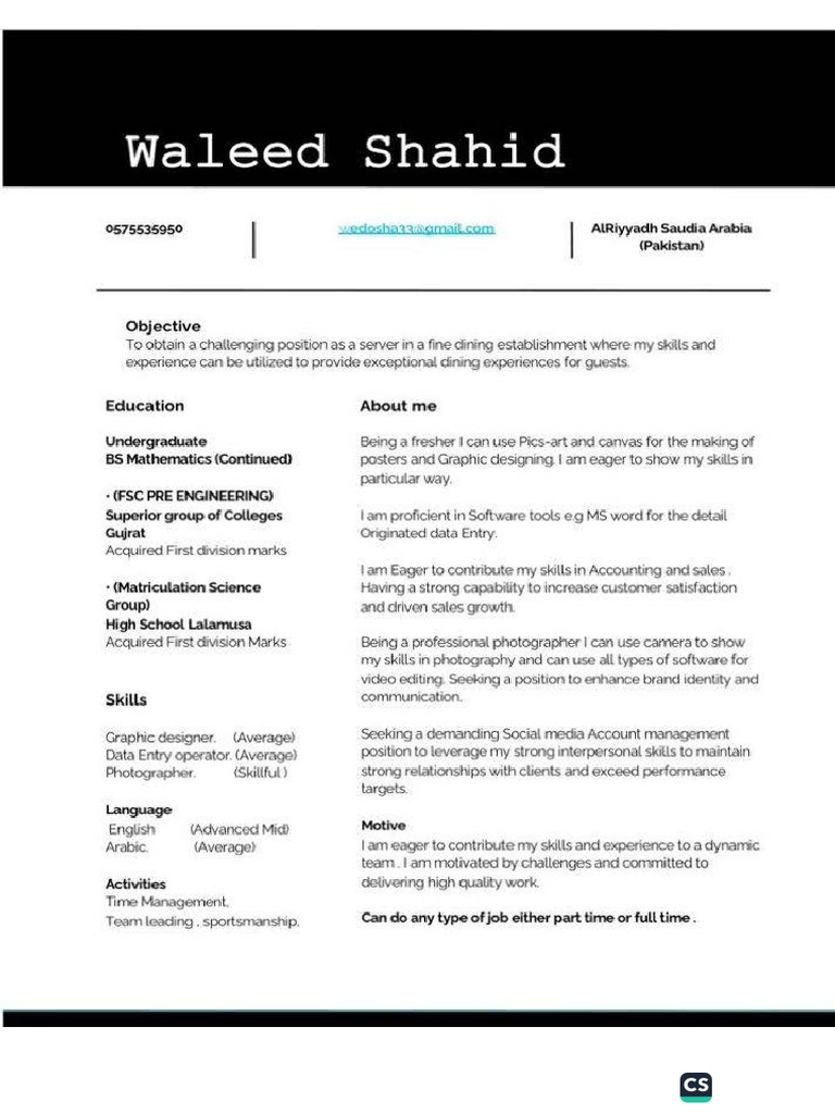 Waleed CV PDF | PDF