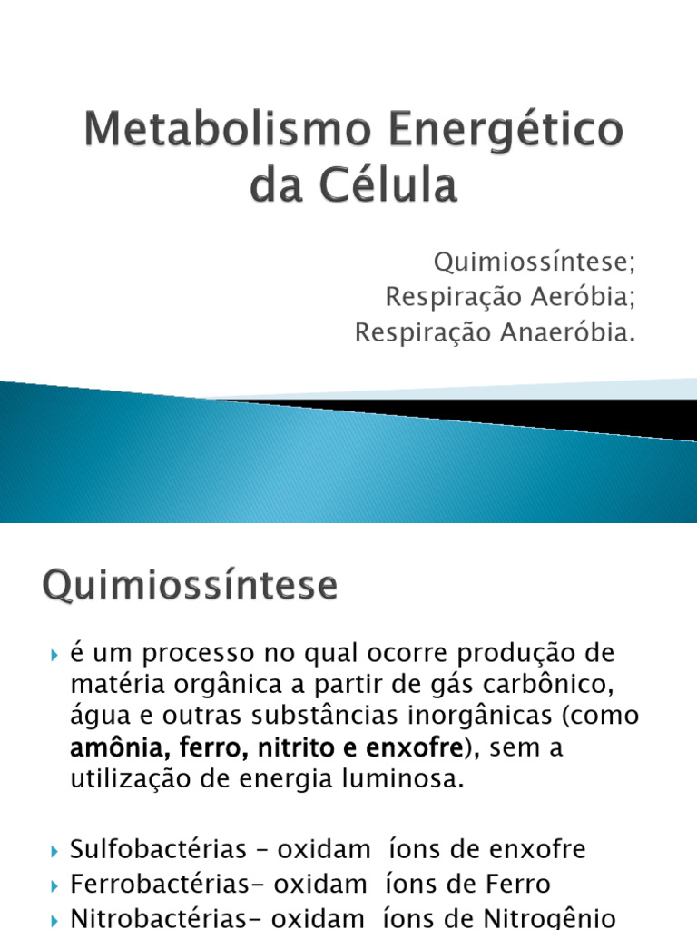 Nitrobactérias e Quimiossíntese | PDF