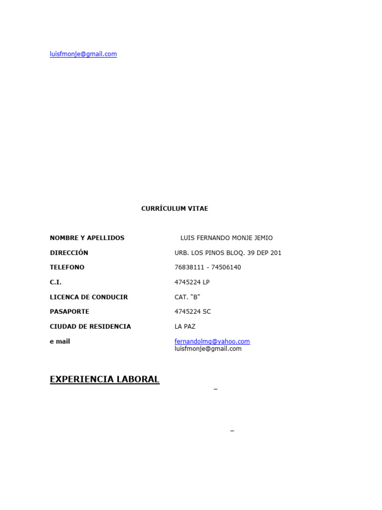 Curriculum Vitae Luis Fernando Monje | PDF | Logística | Gestión de recursos humanos