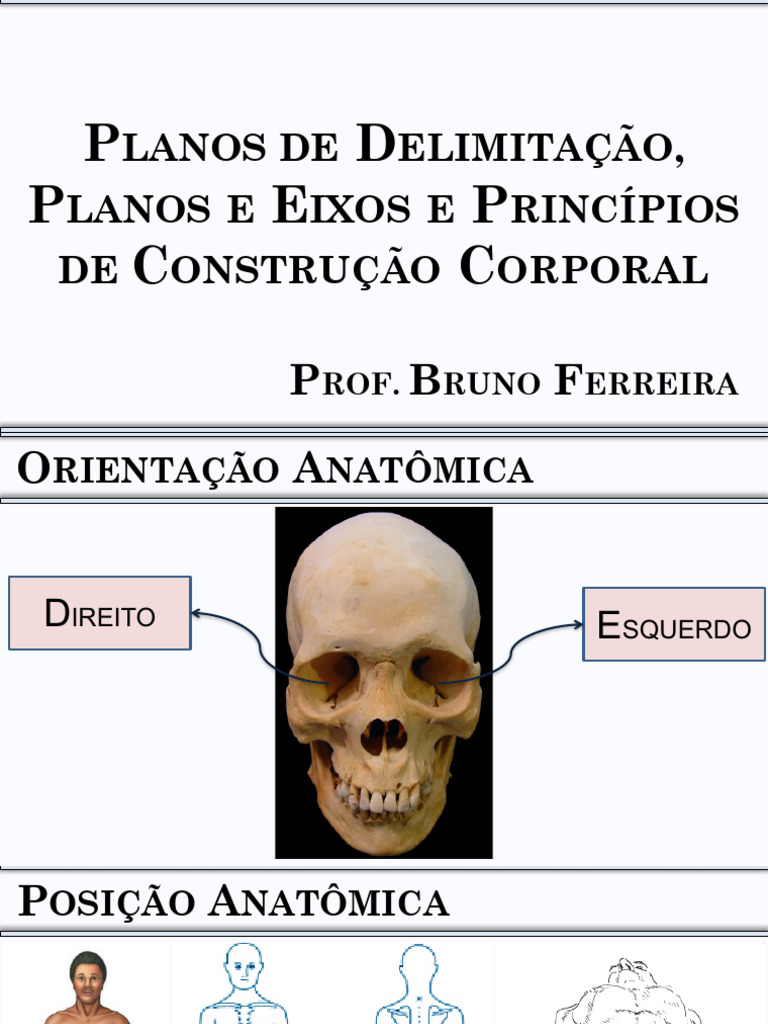 Planos e Eixos | PDF