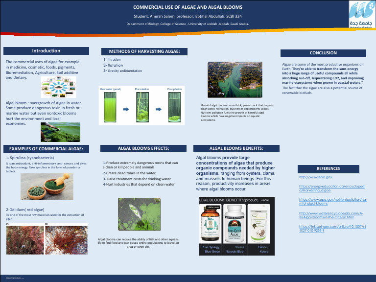 Poster.algae project | PDF | Algae | Environmental Science