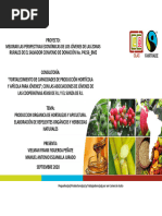 Insecticida Natural Apichi: Receta y Uso | PDF | Suelo | Insectos