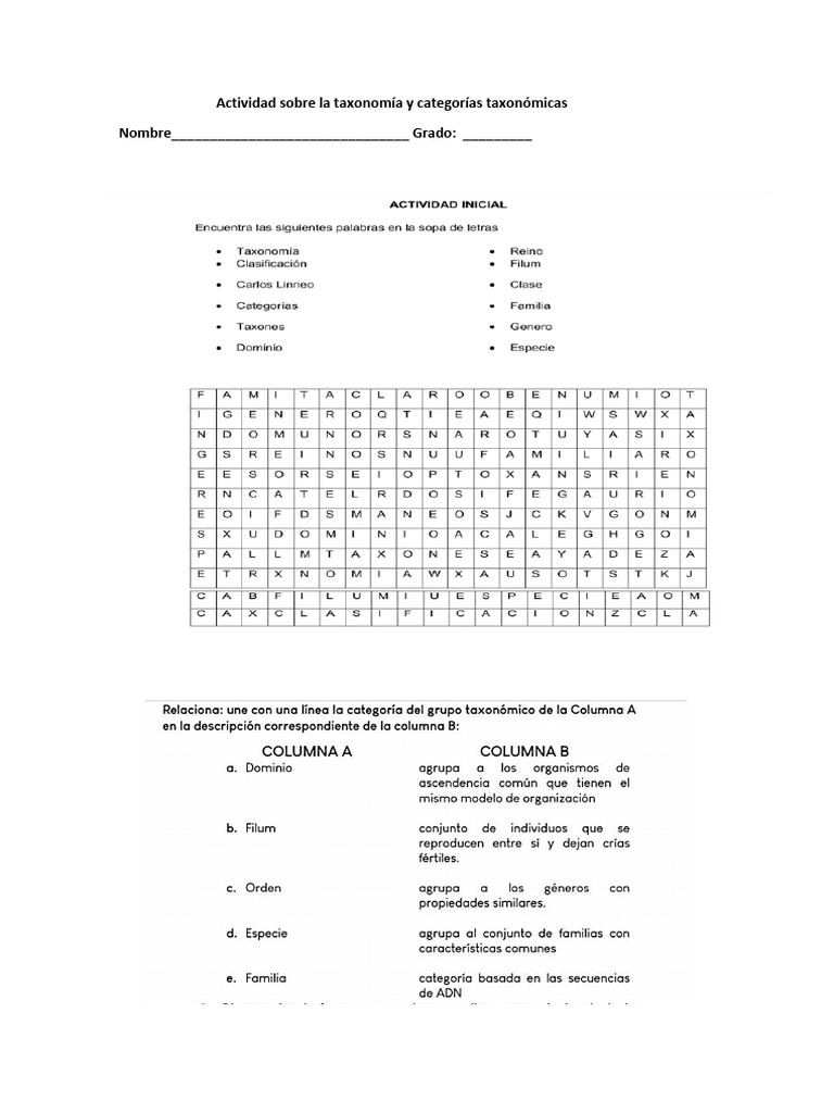 Actividad sobre Taxonomía y Categorías | PDF