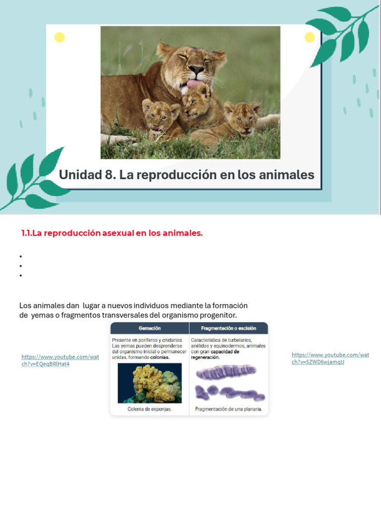 Reproducción en Animales: Asexual y Sexual | PDF | Sistema reproductivo ...