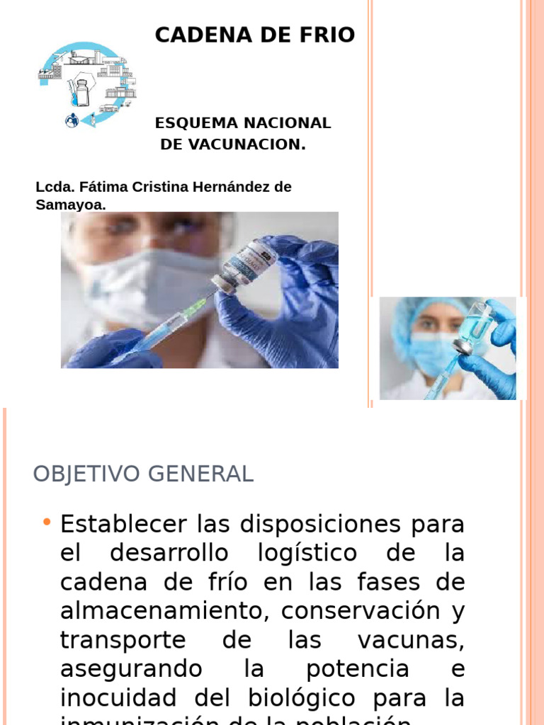 Lineamientos para la Cadena de Frío en Vacunas | PDF | Refrigerador | Vacunas